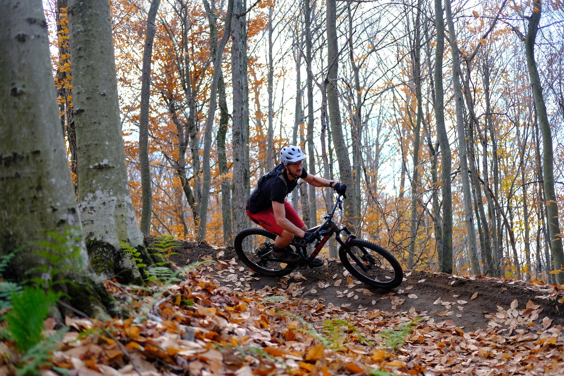 Adirondack Mountain Biking & Cycling Trails | PureADK Guide – Pure Adirondacks